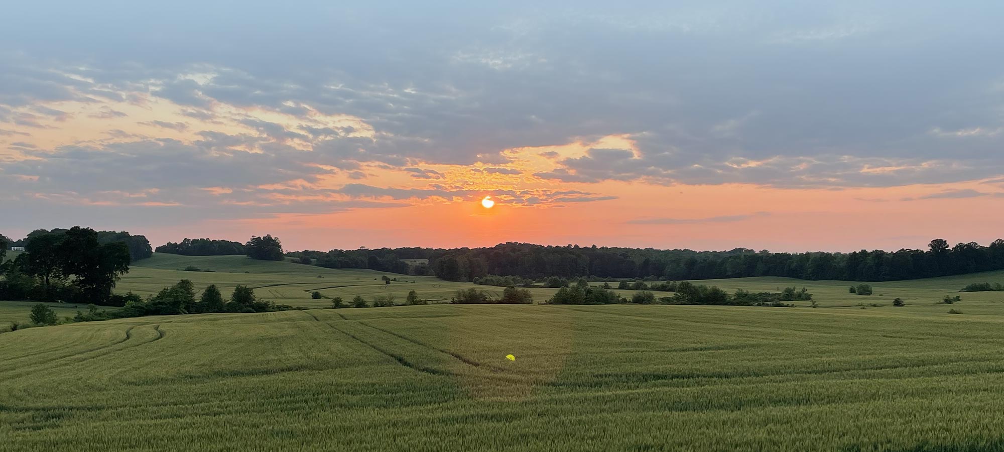 Contact Us – Renfroe Farms